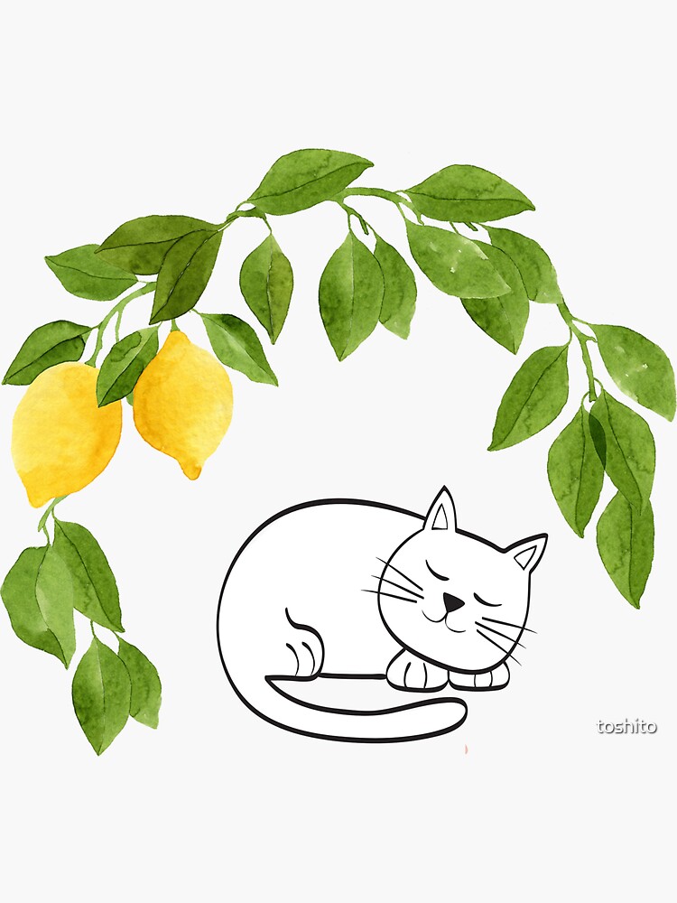 "Cat Sleeping under the Lemon Tree" Sticker for Sale by toshito | Redbubble