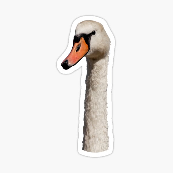 "Cute and Fluffy Swan" Sticker for Sale by McKeeverDesigns | Redbubble