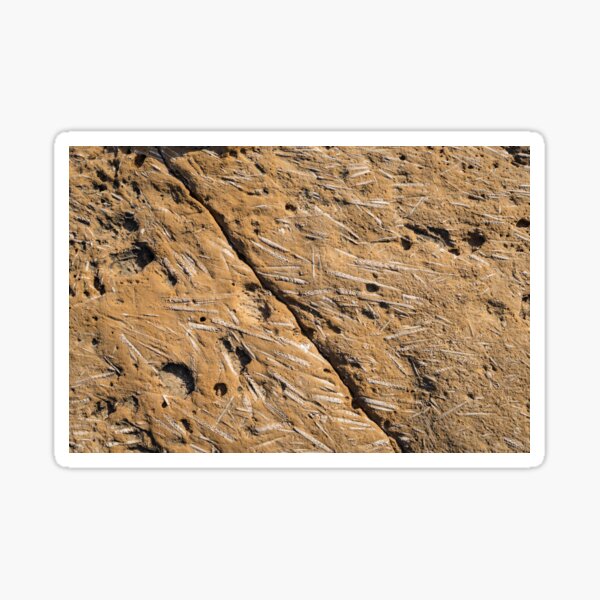 "Fascinating Fossils Take Three" Sticker by GeorgiaM | Redbubble