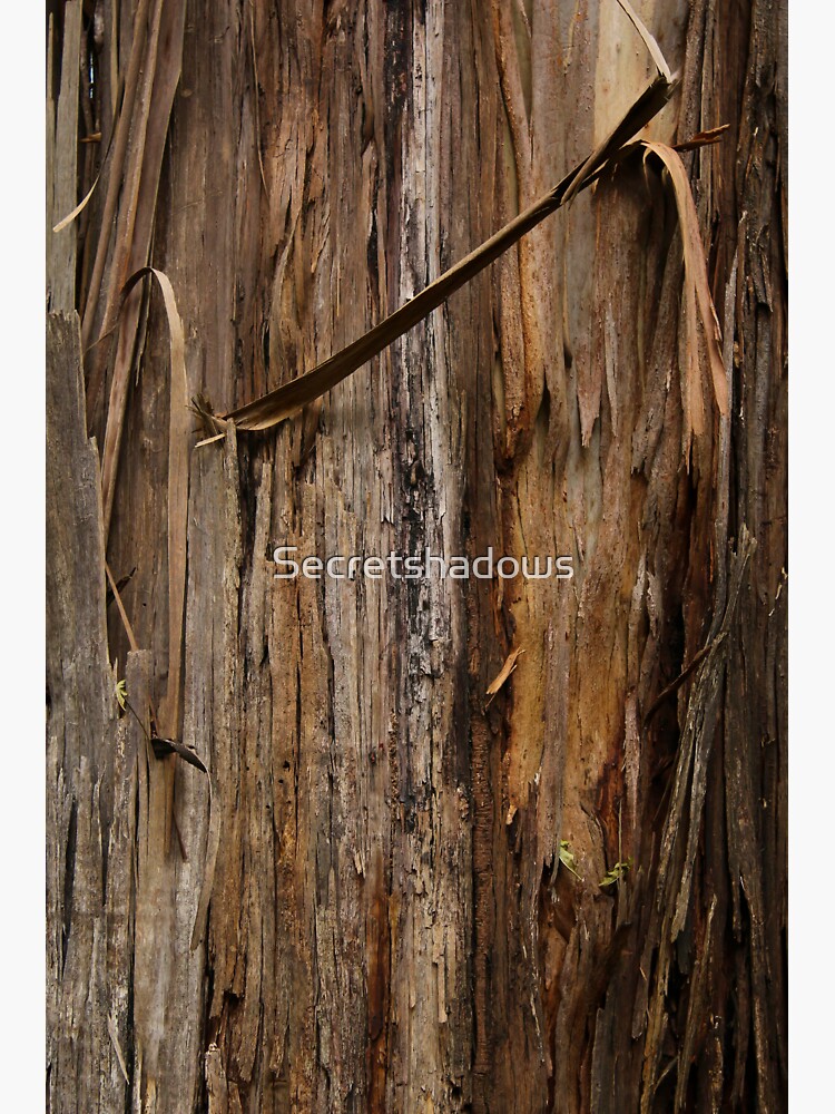 "Bark " Sticker for Sale by Secretshadows | Redbubble