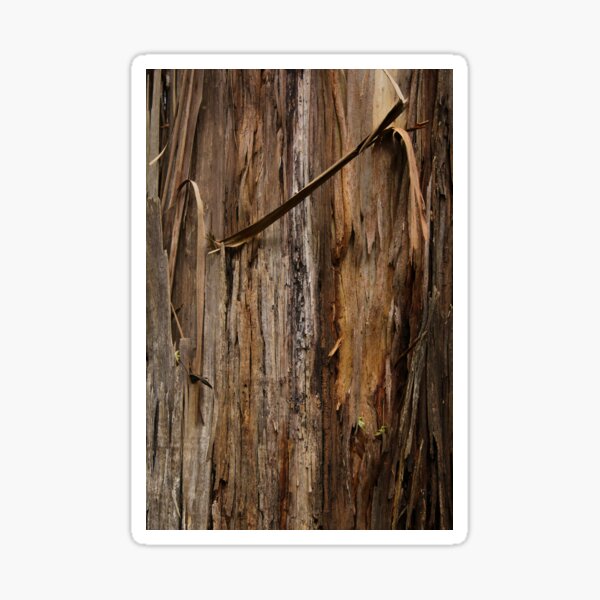 "Bark " Sticker for Sale by Secretshadows | Redbubble