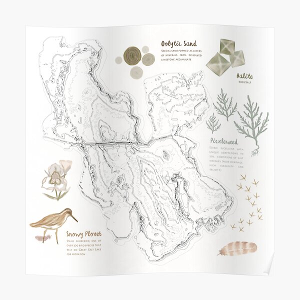 "Bathymetry and Shore Lines of Great Salt Lake" Poster for Sale by ...