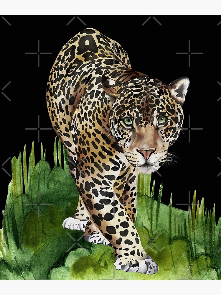 "Aesthetic Watercolor Leopard Animal Painting" Poster for Sale by ...