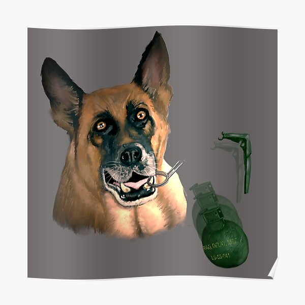 "Whoops" Poster for Sale by IllusionMetal | Redbubble