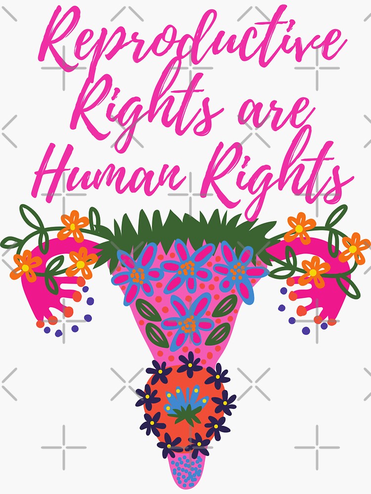 "Reproductive Rights are Human Rights" Sticker by Brandi-Smith | Redbubble