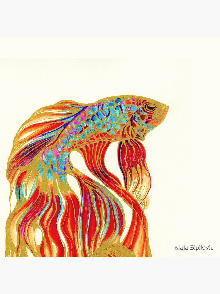 Pin Tropical Fish Murals