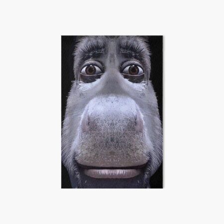 "Esel, der lässig auf dich herabschaut, MEME" Galeriedruck von ...