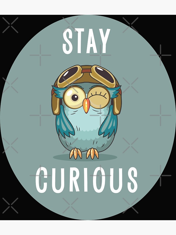 "stay curious Bird Cute" Poster for Sale by Nombesefregon | Redbubble