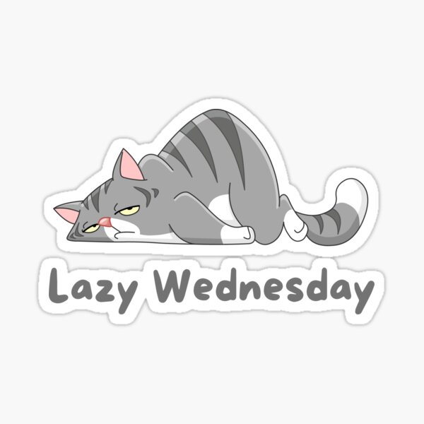 "Lazy Wednesday Funny Cat Lazy Cat Lazy Gray Gray Cat Sleeping Cat Cute ...