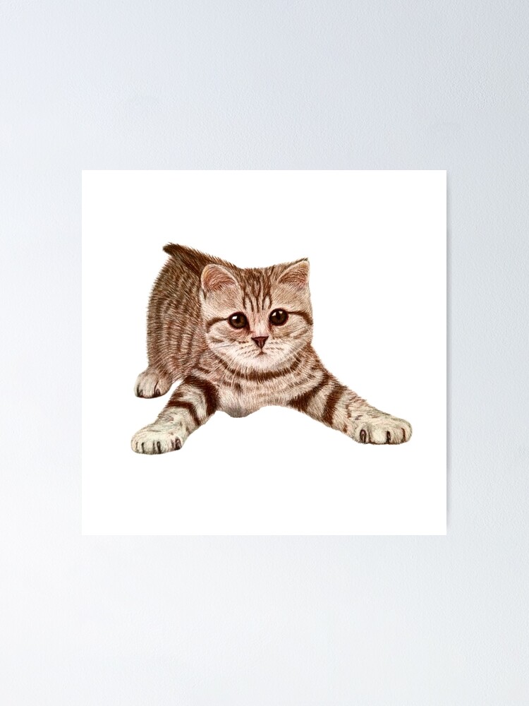 "Excited cat drawing with coloured pencils" Poster for Sale by ...