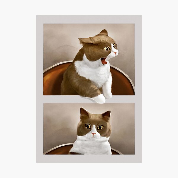 "Realizing it was my fault - Meme" Photographic Print for Sale by Mashz ...