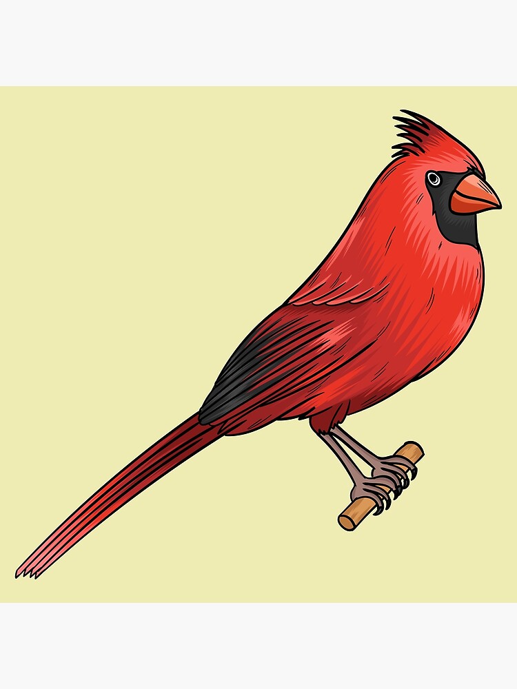"Northern cardinal bird cartoon illustration" Poster for Sale by ...