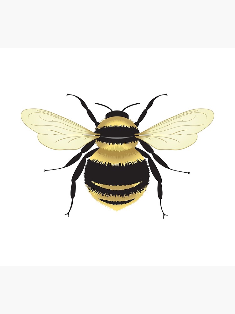 "Honey Bee | Bumblebee" Poster for Sale by Teenker | Redbubble