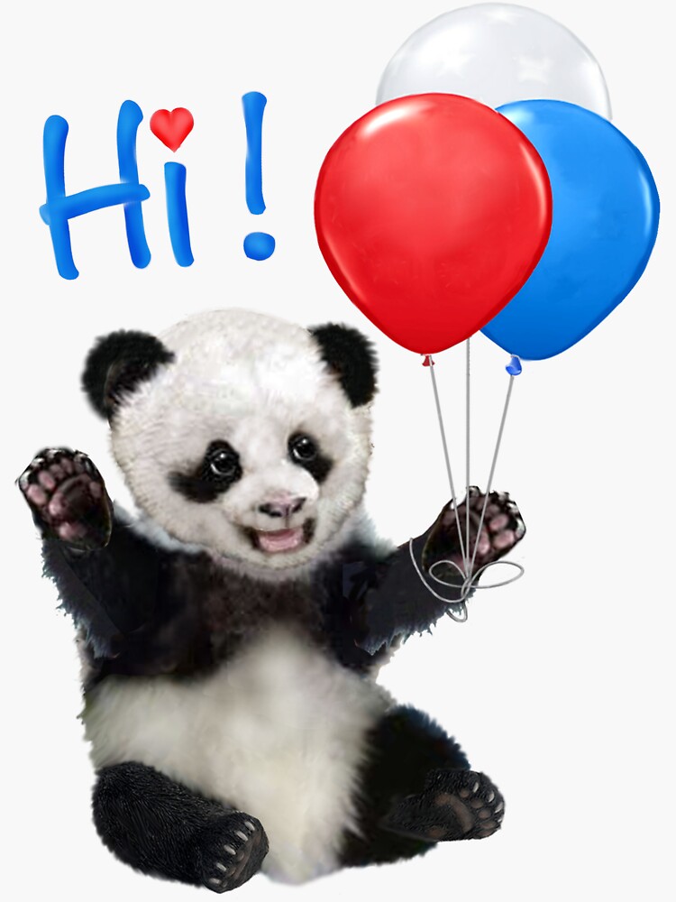 "Hi from Baby Panda" Sticker for Sale by HOLBROOKART | Redbubble