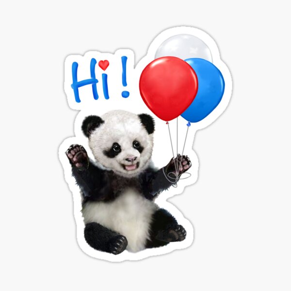 "Hi from Baby Panda" Sticker for Sale by HOLBROOKART | Redbubble