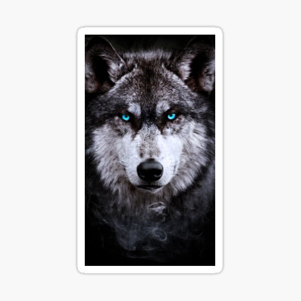 "white wolf" Sticker for Sale by Mounir7 | Redbubble