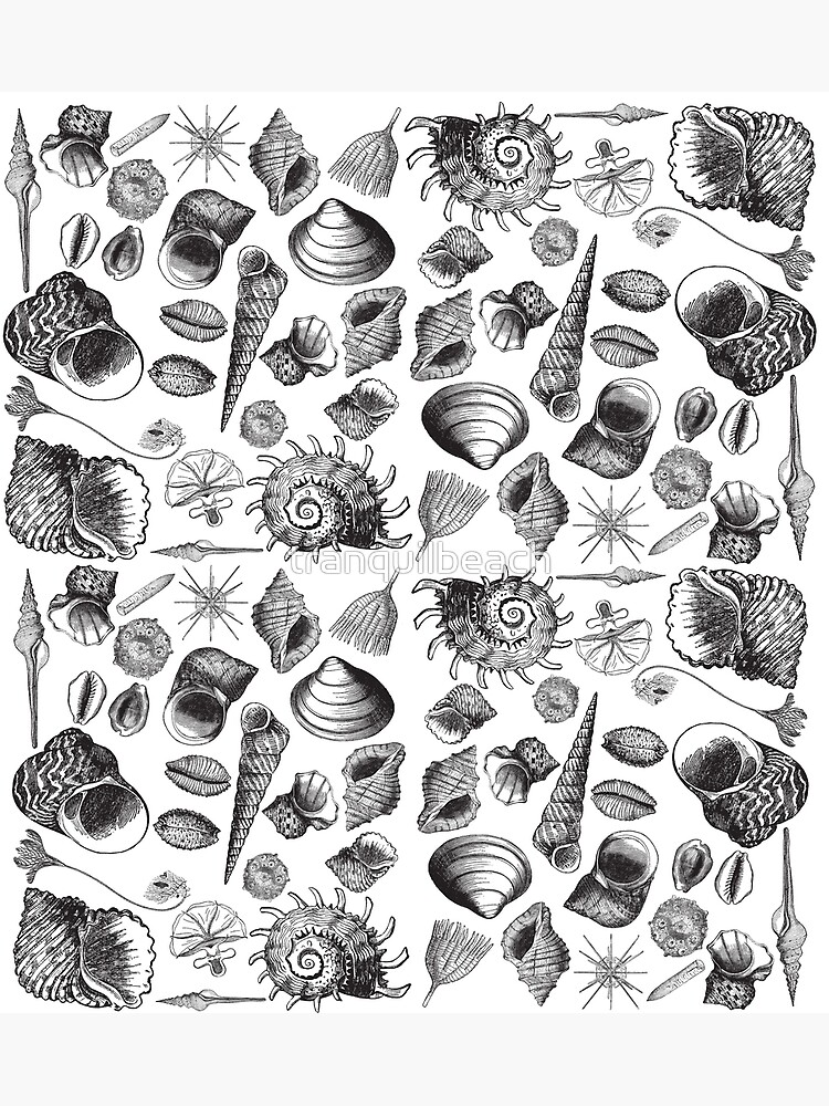 "Hello Shell and Beach lovers! This black and white shell pattern is ...