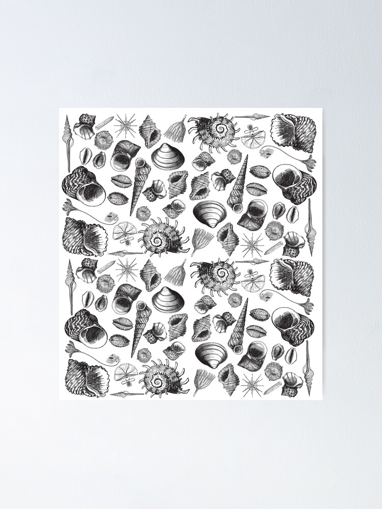 "Hello Shell and Beach lovers! This black and white shell pattern is ...