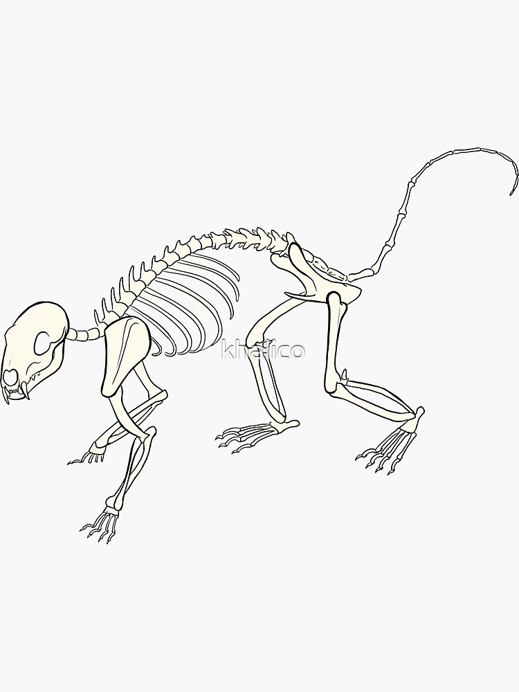 "Quoll Skeleton" Sticker for Sale by khalico | Redbubble
