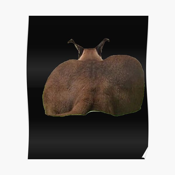 "Big Floppa Ass" Poster for Sale by momshow | Redbubble