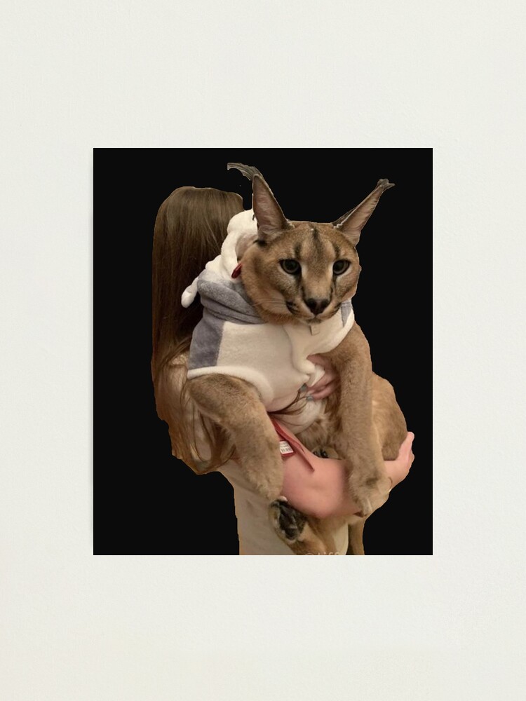 "Funny big floppa kids" Photographic Print for Sale by momshow | Redbubble