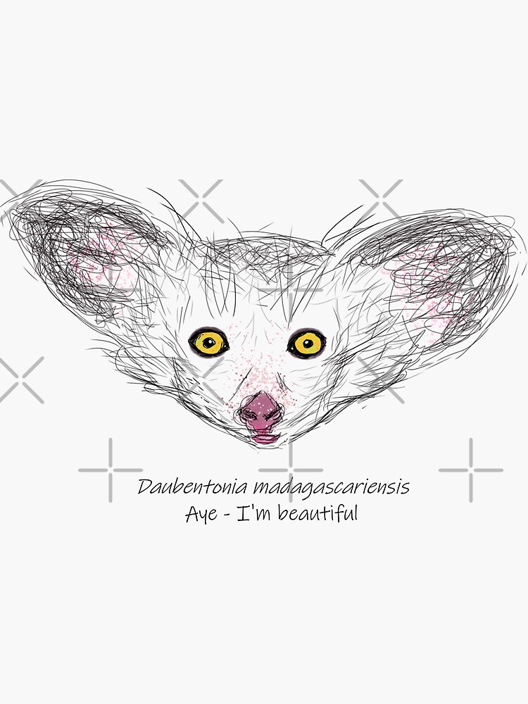 "Beautiful aye aye" Sticker for Sale by Sacha-H | Redbubble