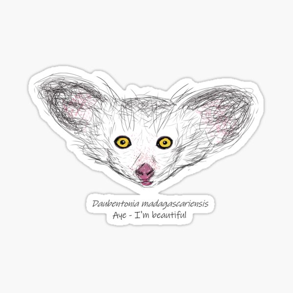 "Beautiful aye aye" Sticker for Sale by Sacha-H | Redbubble