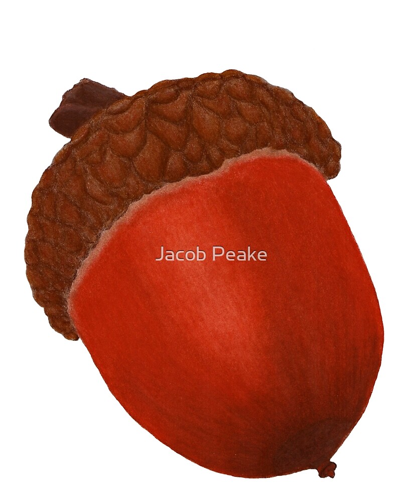 "Gone Nuts!" by Jacob Peake | Redbubble