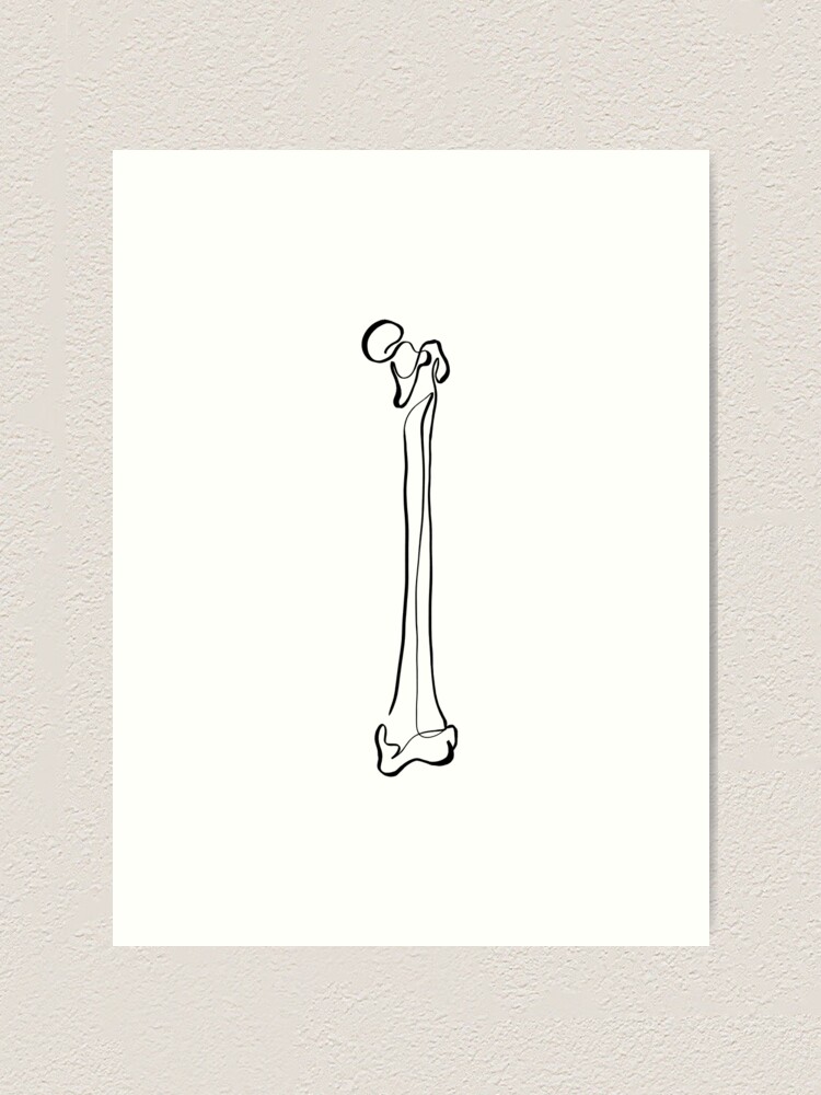 "Minimalist Femur Bone Line Drawing No.8" Art Print for Sale by ...