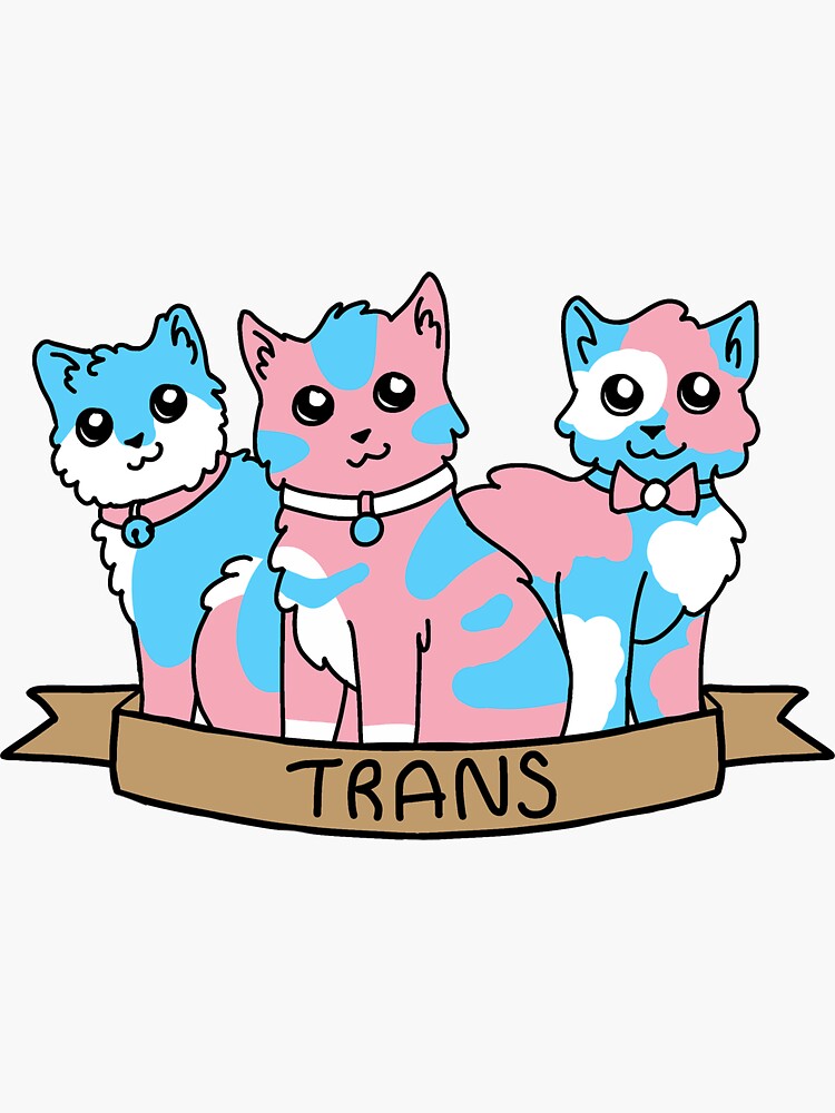 "Trans Cats" Sticker for Sale by WeirdQueer | Redbubble