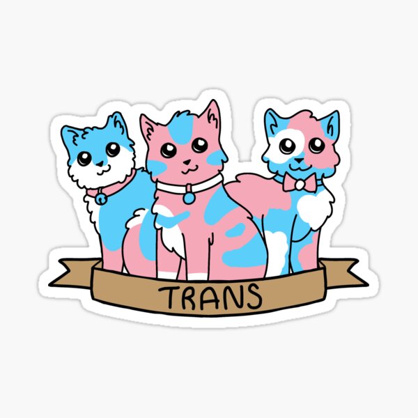 "Trans Cats" Sticker for Sale by WeirdQueer | Redbubble