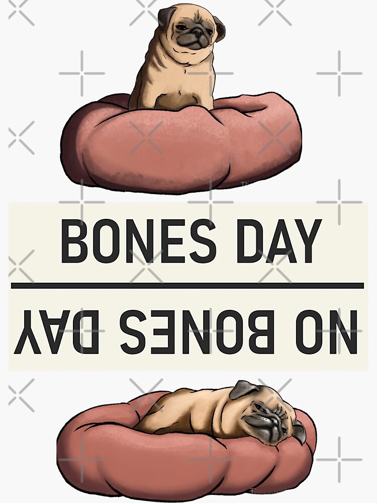 "Bones Day - No Bones Day, Bones or No Bones, Noodle the Pug, Treat ...