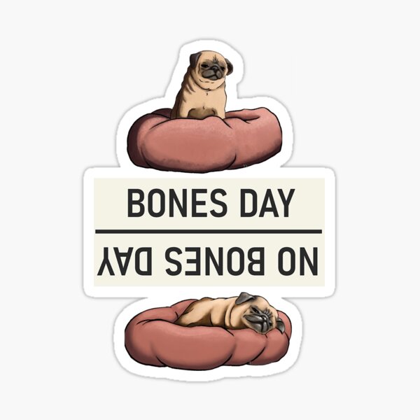 "Bones Day - No Bones Day, Bones or No Bones, Noodle the Pug, Treat ...