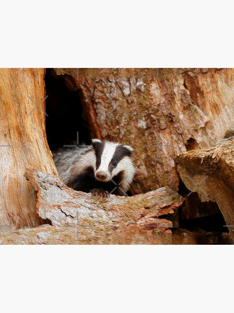"Badger in a tree" Sticker for Sale by friendlyfauna | Redbubble