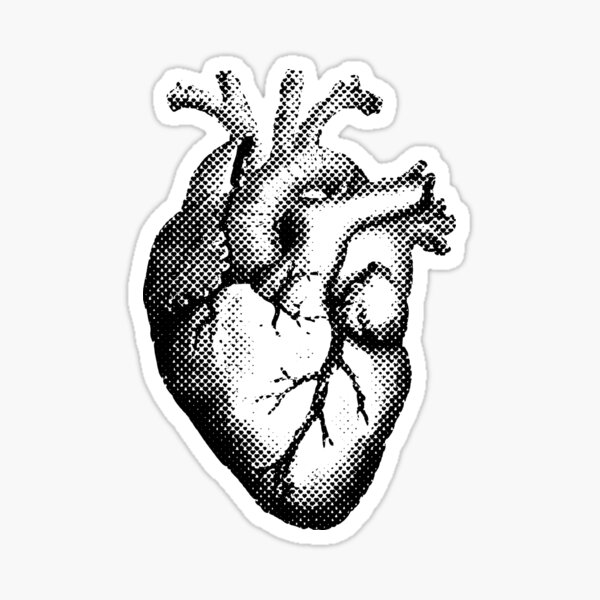 "Heart Drawing" Sticker for Sale by LeoLabs | Redbubble