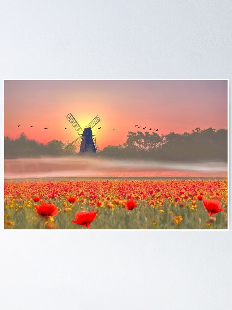 "Norfolk Poppy Field" Poster for Sale by Alisonchambers2 | Redbubble