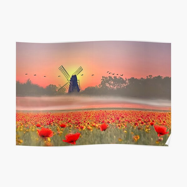 "Norfolk Poppy Field" Poster for Sale by Alisonchambers2 | Redbubble