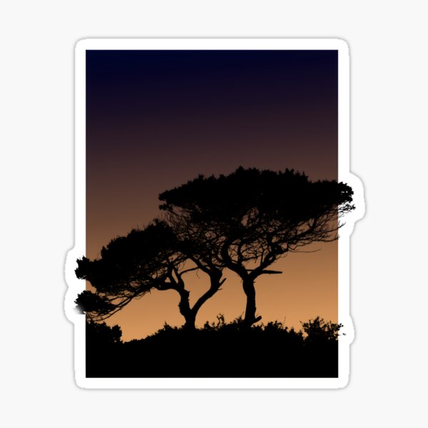 "Summer Sunset" Sticker for Sale by SoaringInsignia | Redbubble