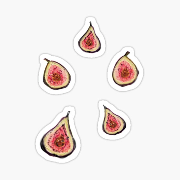 "Figs" Sticker for Sale by xsaxsandra | Redbubble