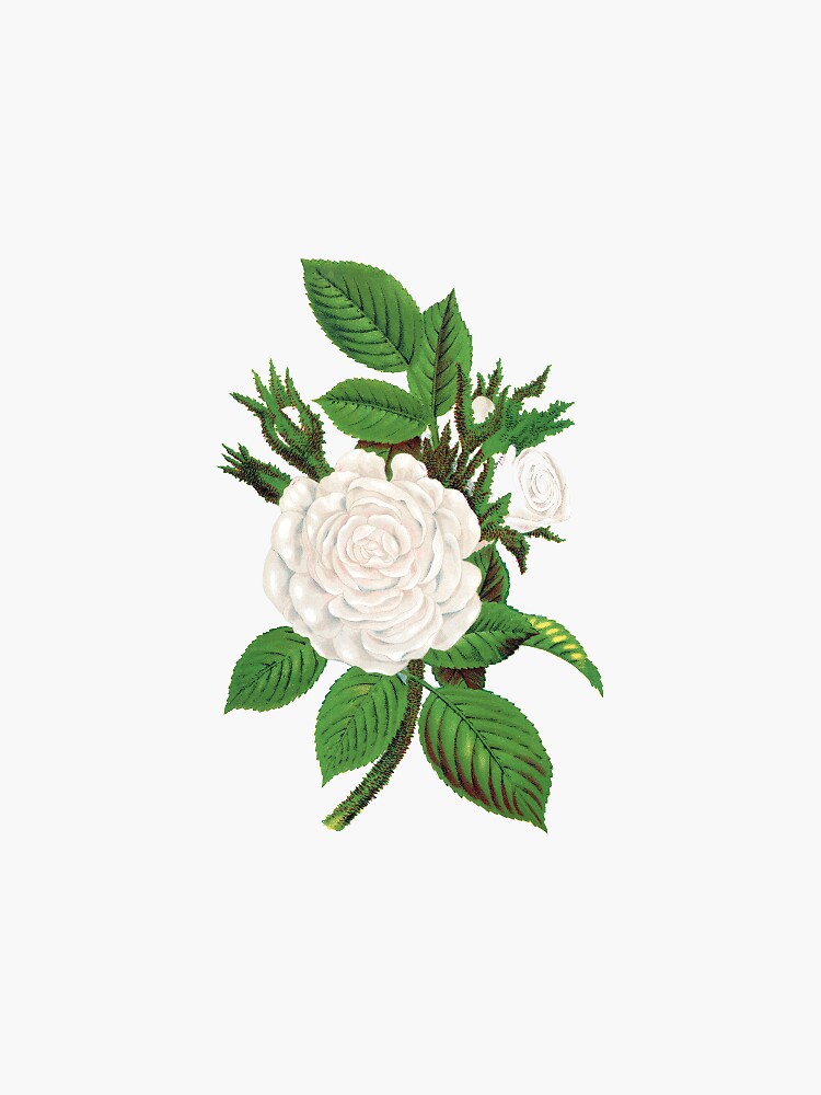 "unic flower" Sticker for Sale by torteradesigns | Redbubble
