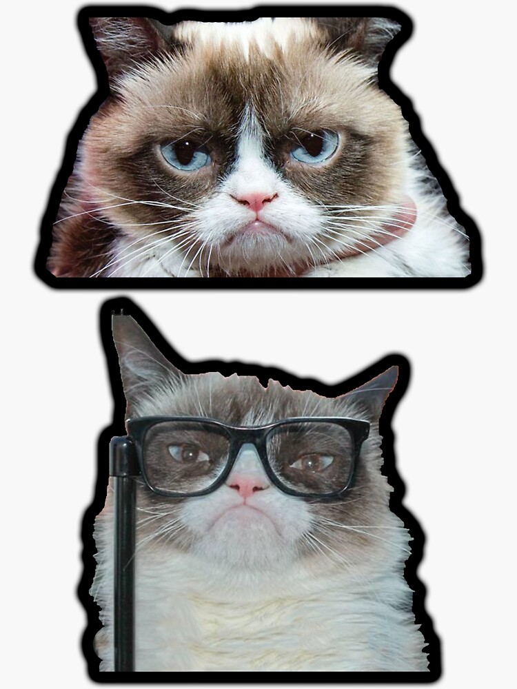 "Cool Kitties Sticker-pack Sticker Meme Cats Pack of Stickers" Sticker ...