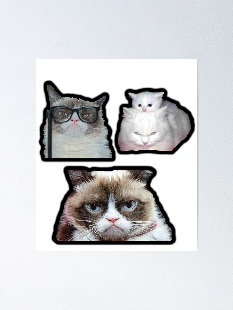 "Cool Kitties Sticker-pack Sticker Meme Cats Pack of Stickers" Poster ...