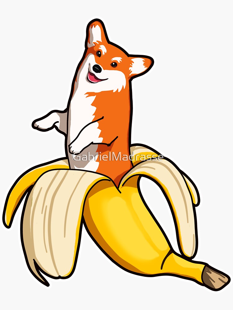 "Corgis come from bananas" Sticker for Sale by GabrielMadrasse | Redbubble