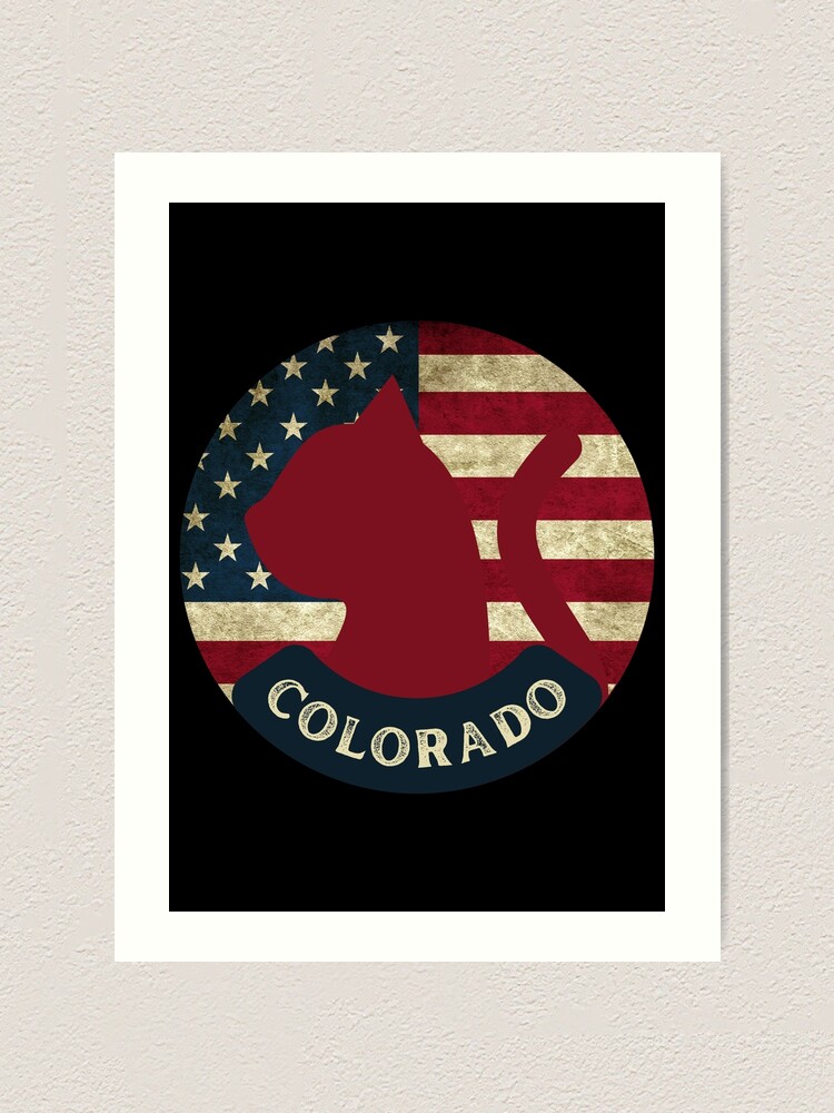 "Colorado Distressed American Flag Cat Silhouette" Art Print for Sale ...