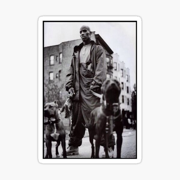 "dmx-rip dmx-rip-dmx rappeur-hip hop-90s hiphop-rappeur-2021 rip dmx T ...