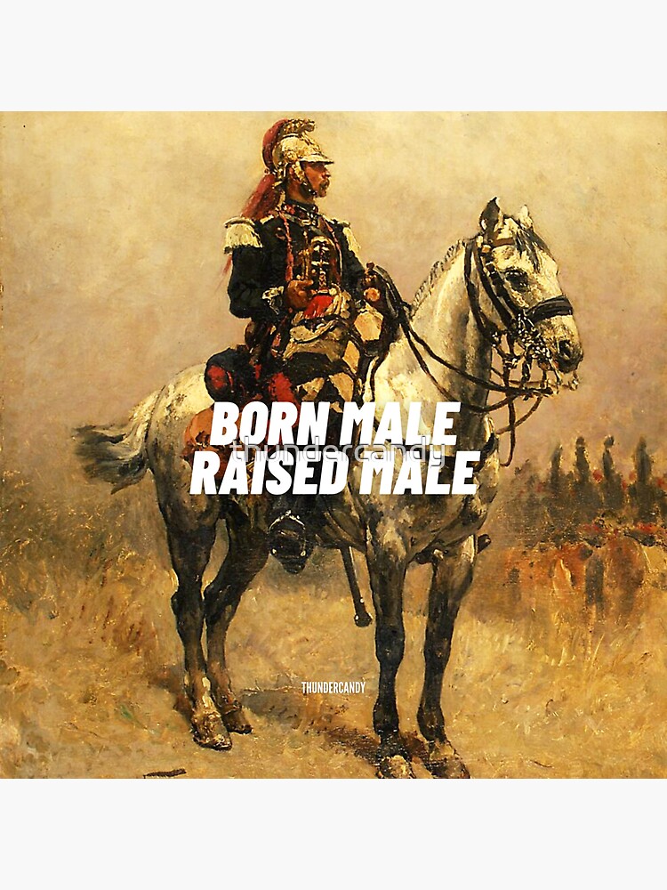 "Born Male Raised Male" Sticker for Sale by thundercandy | Redbubble