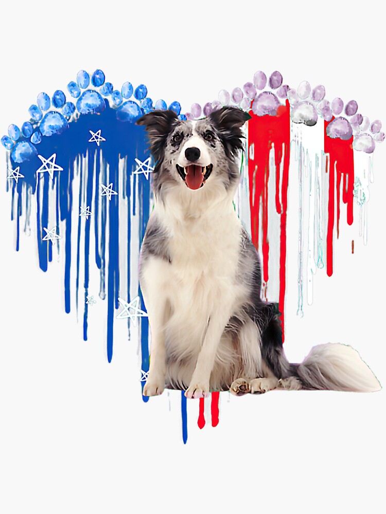"American Blue Merle Collie Dog Heart 4Th Of July Usa Flag" Sticker for ...