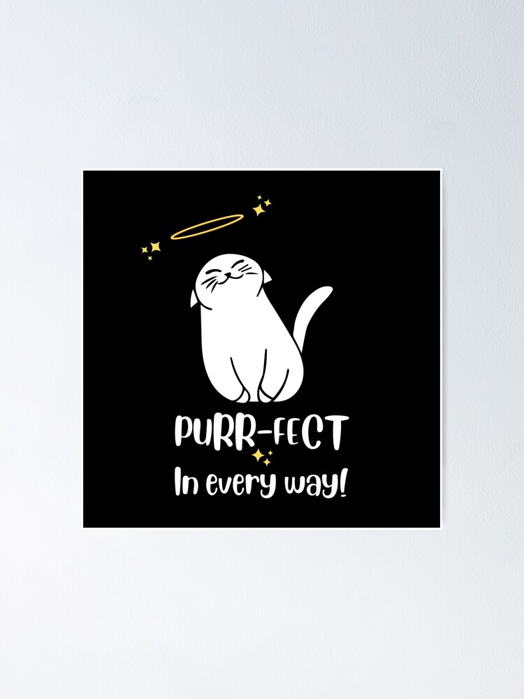 " A perfect cat...This simple design is for cat lovers, using a white ...