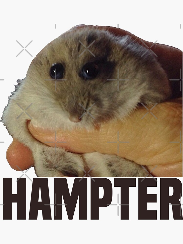 "Hampter Meme Gif Funny Hamster" Sticker for Sale by davidesimon ...
