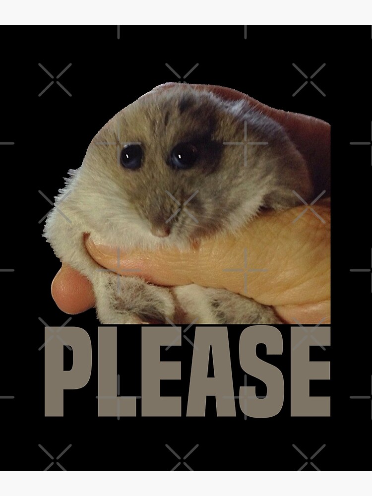 "Hampter Meme Gif Funny Hamster" Photographic Print for Sale by ...